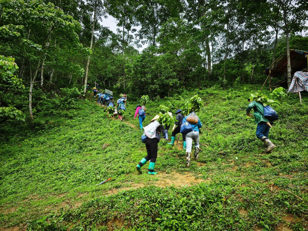 Chạm để Trồng – Góp Xanh Tây Bắc - GiveNow